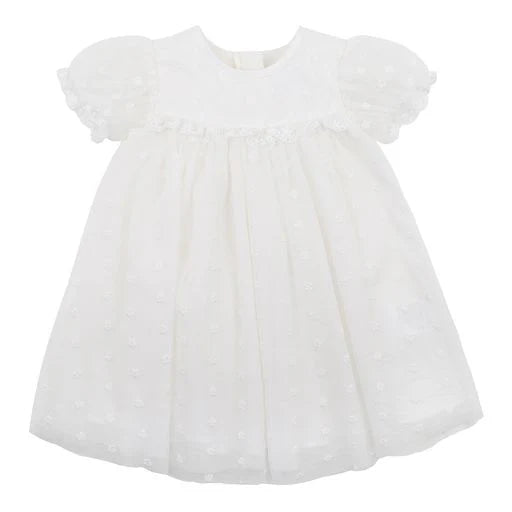 Bebe - Lace Puff Sleeve Lace Dress – Cotmakers